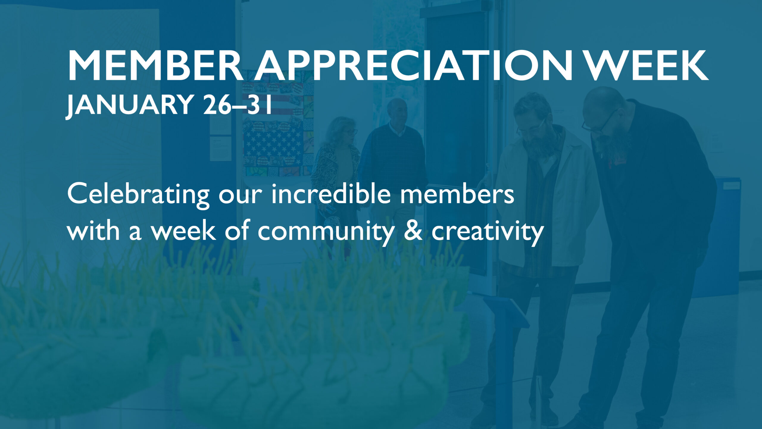 Member Appreciation Week at the KIA